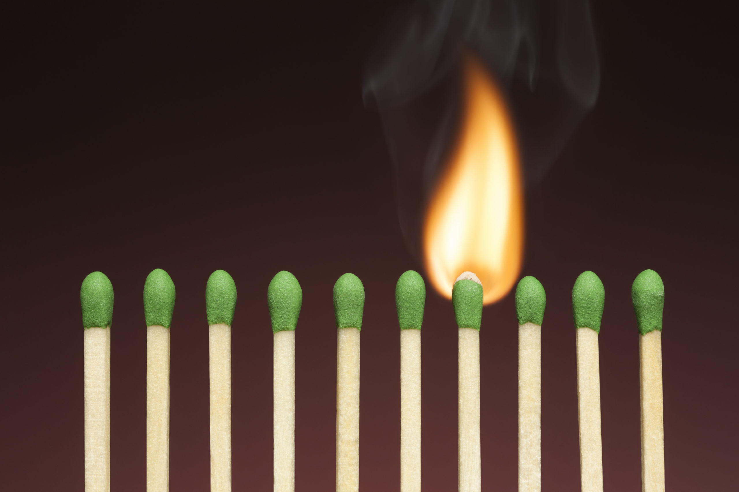 Excellerate Solutions – Think. Plan. Excel.